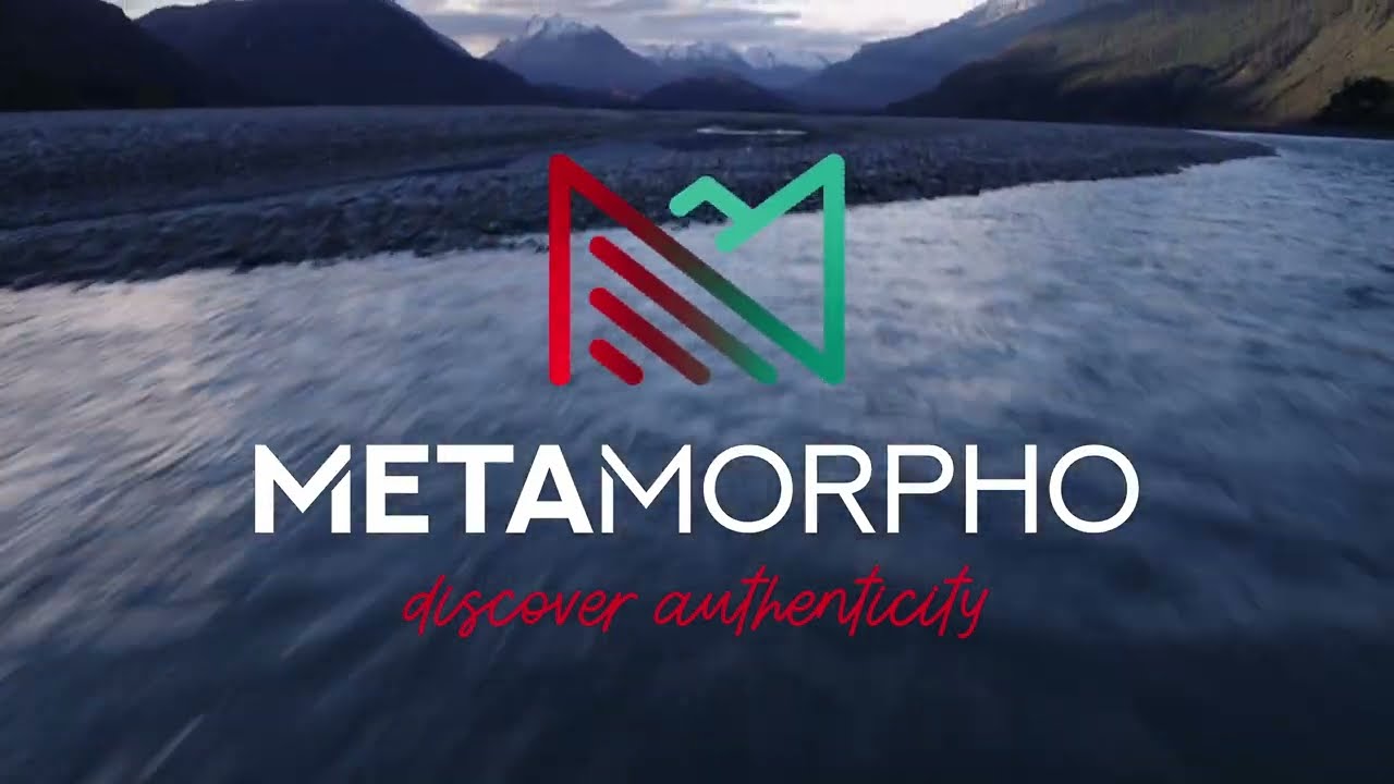 Stellies Connection - Metamorpho